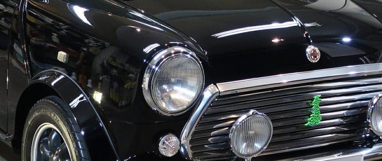 20221114-rover-mini-banner | CAR BEAUTY PRO BlueBottle